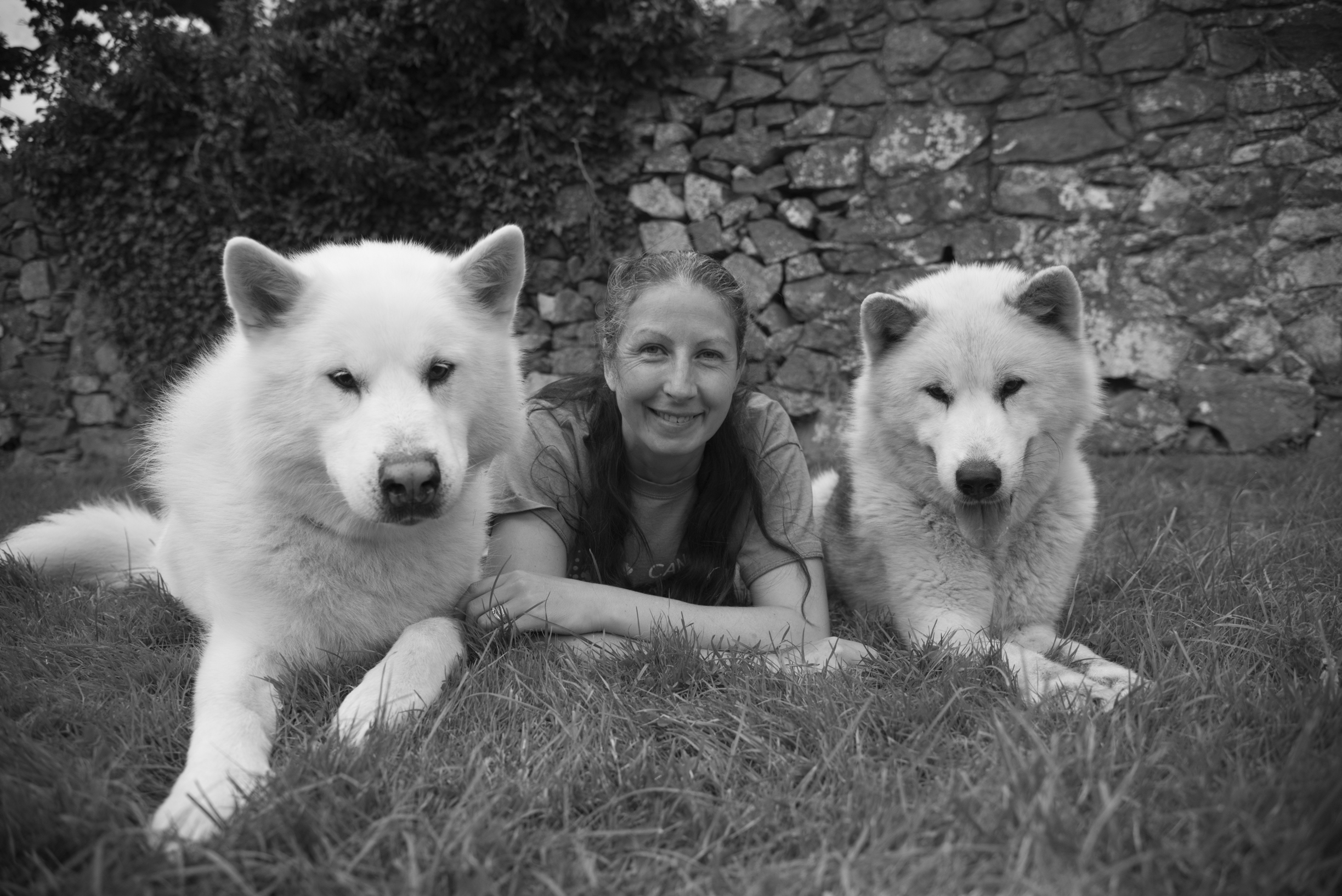 Canadian Eskimo Dogs – The home of the majestic & indigenous Canadian ...