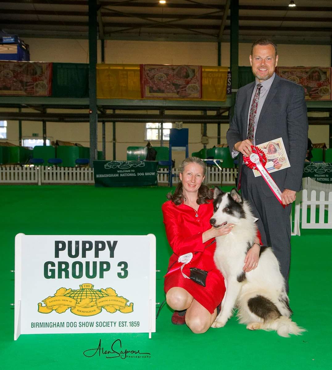 Akna Achievements – Canadian Eskimo Dogs