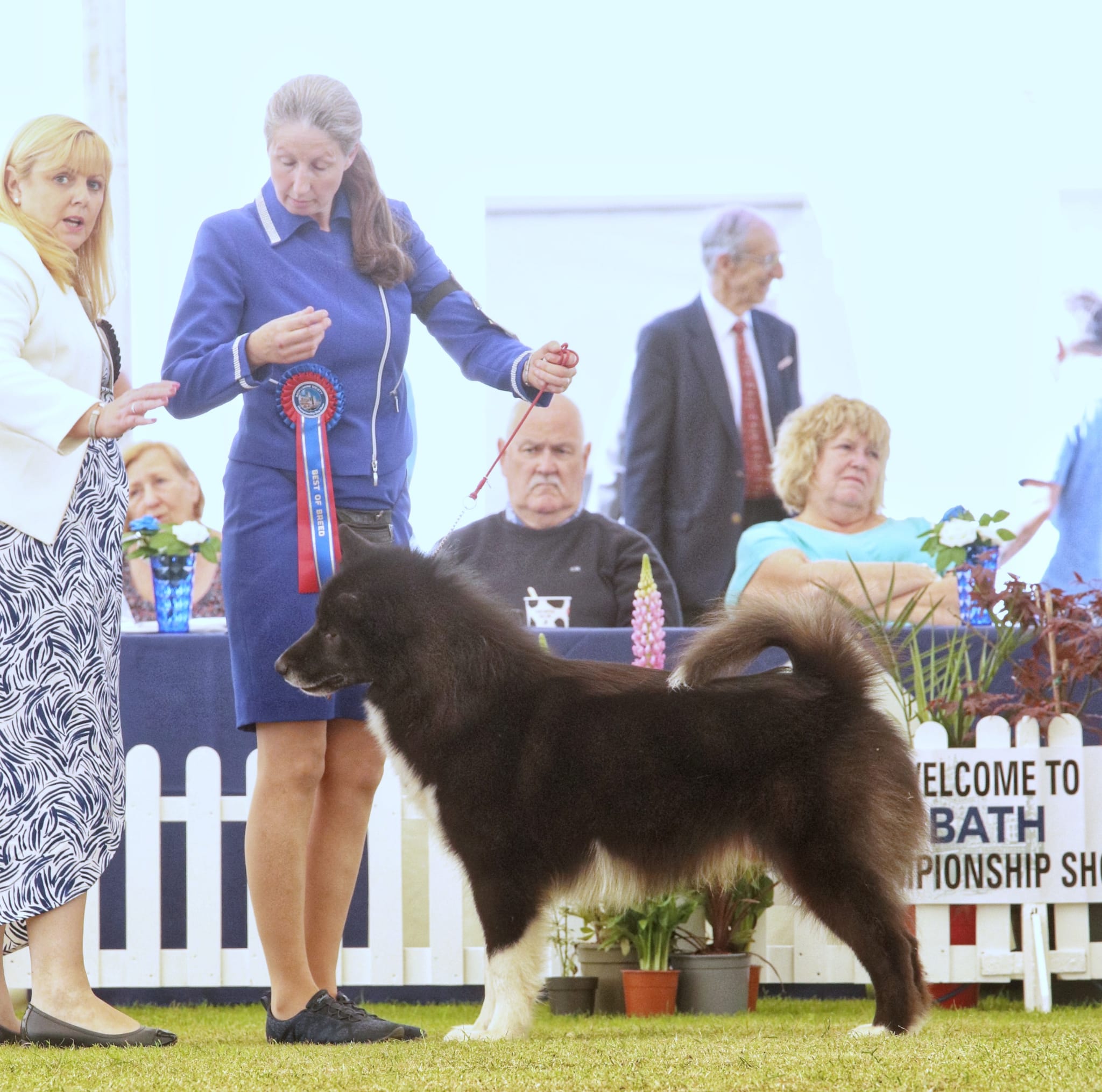 Akna Achievements – Canadian Eskimo Dogs