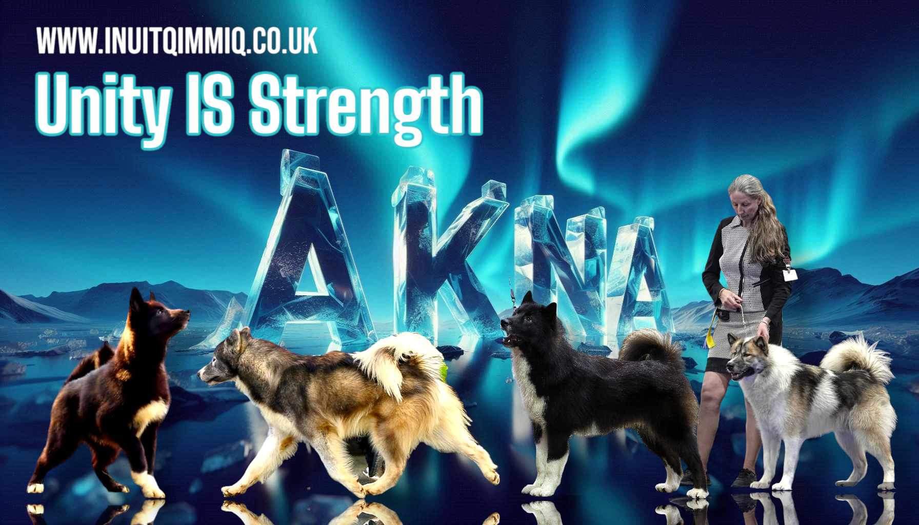 Akna Dogs – Our Boys – Canadian Eskimo Dogs